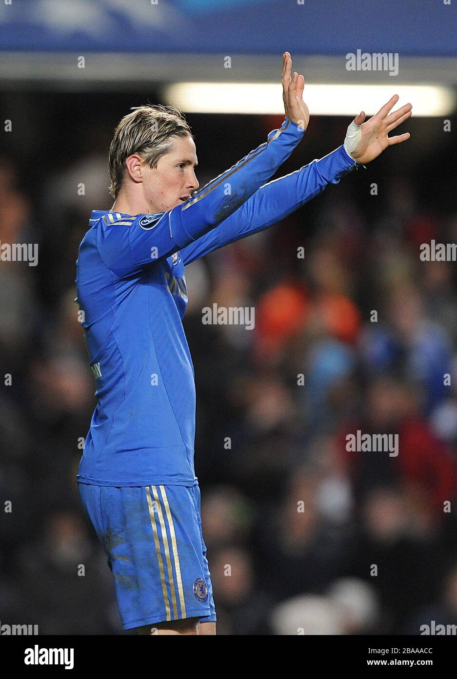 Chelsea's Fernando Torres celebrates scoring their fourth goal of the ...