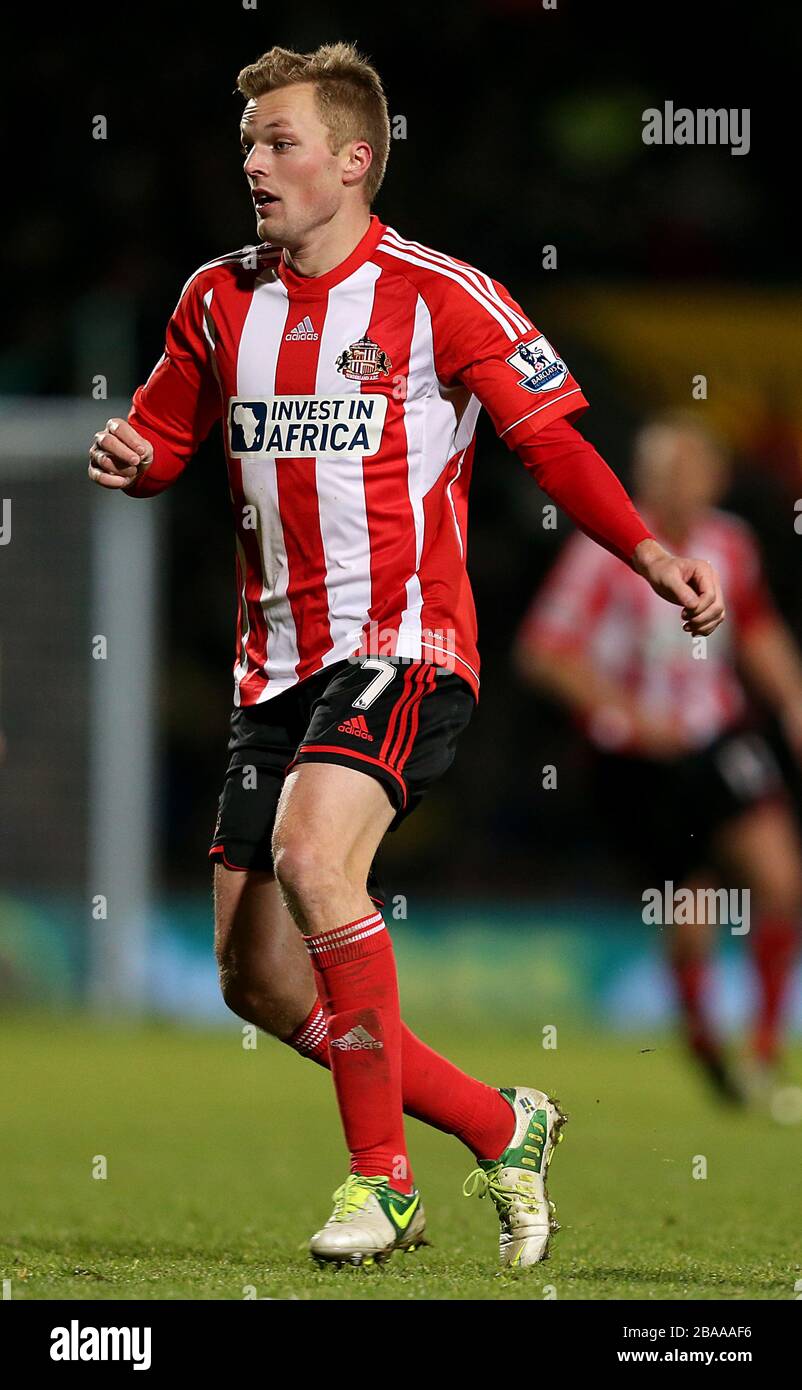 Sebastian Larsson, Sunderland Stock Photo - Alamy