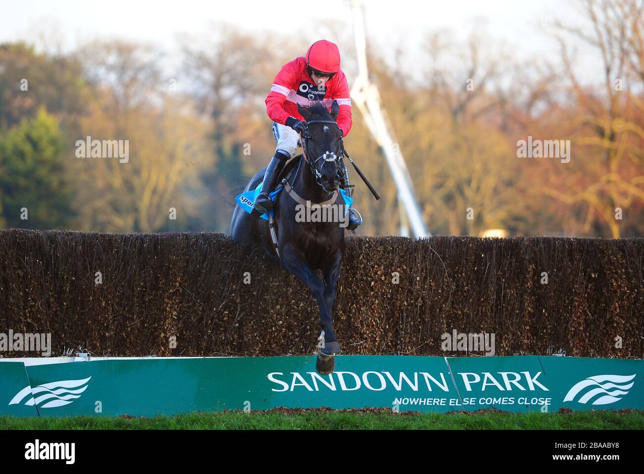 Ruby walsh hi-res stock photography and images - Alamy