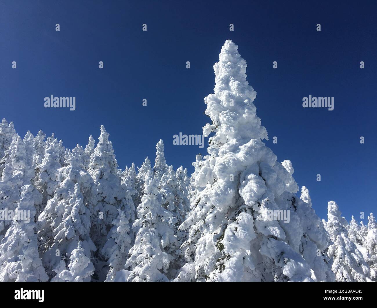 Snow and blue sky hi-res stock photography and images - Alamy