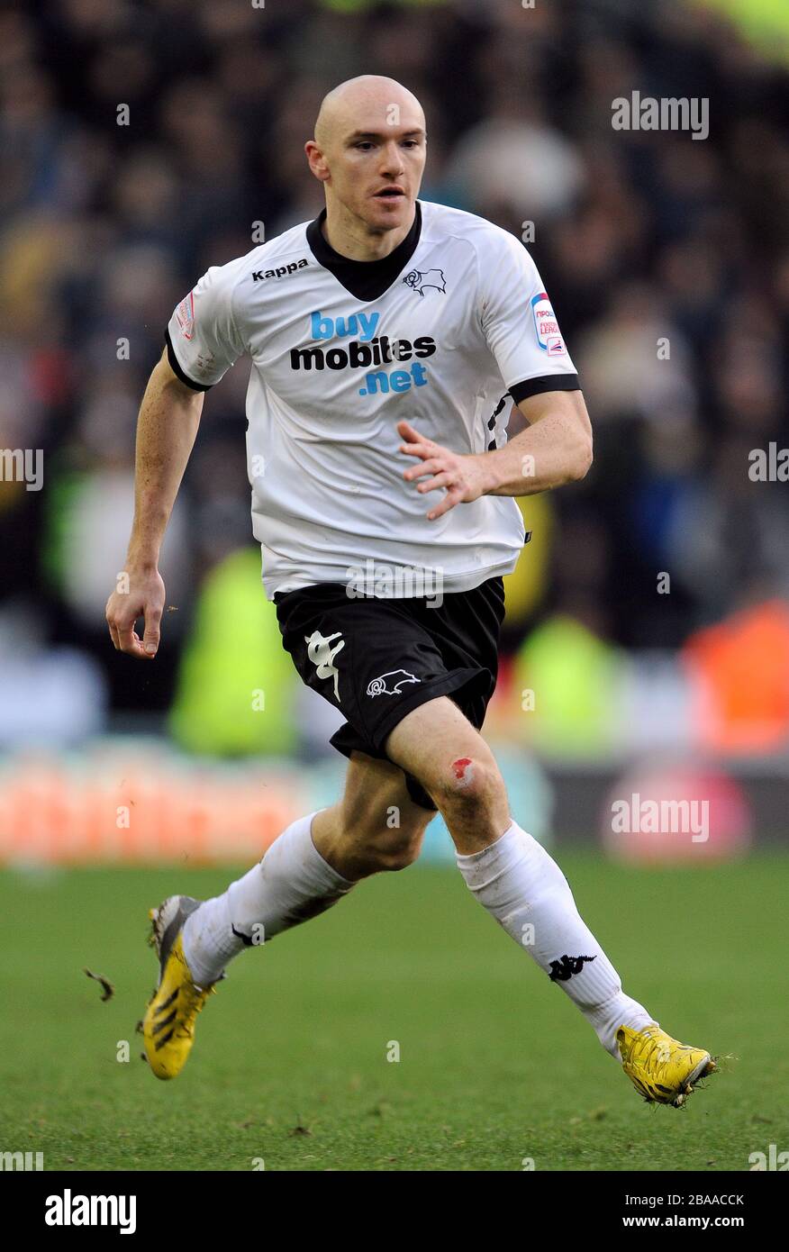 Sammon hi-res stock photography and images - Alamy