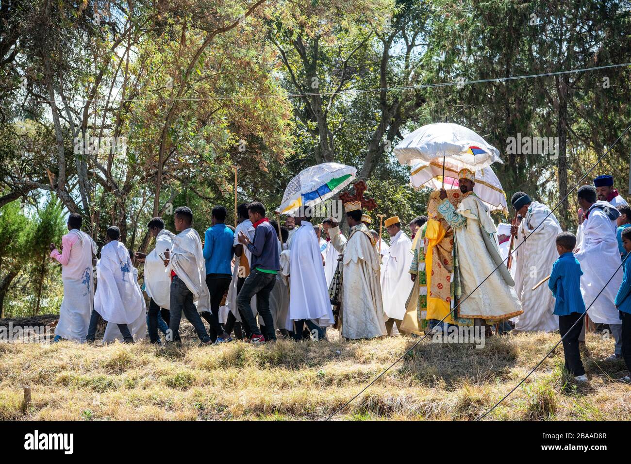 Africa, Ethiopia, Adadi Mariam. Religious procession in Adadi Mariam ...