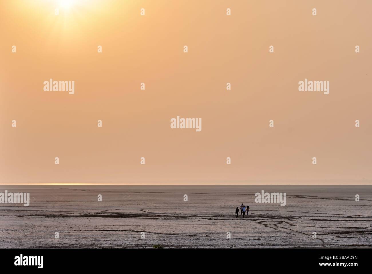 Sambhar lake hi-res stock photography and images - Alamy