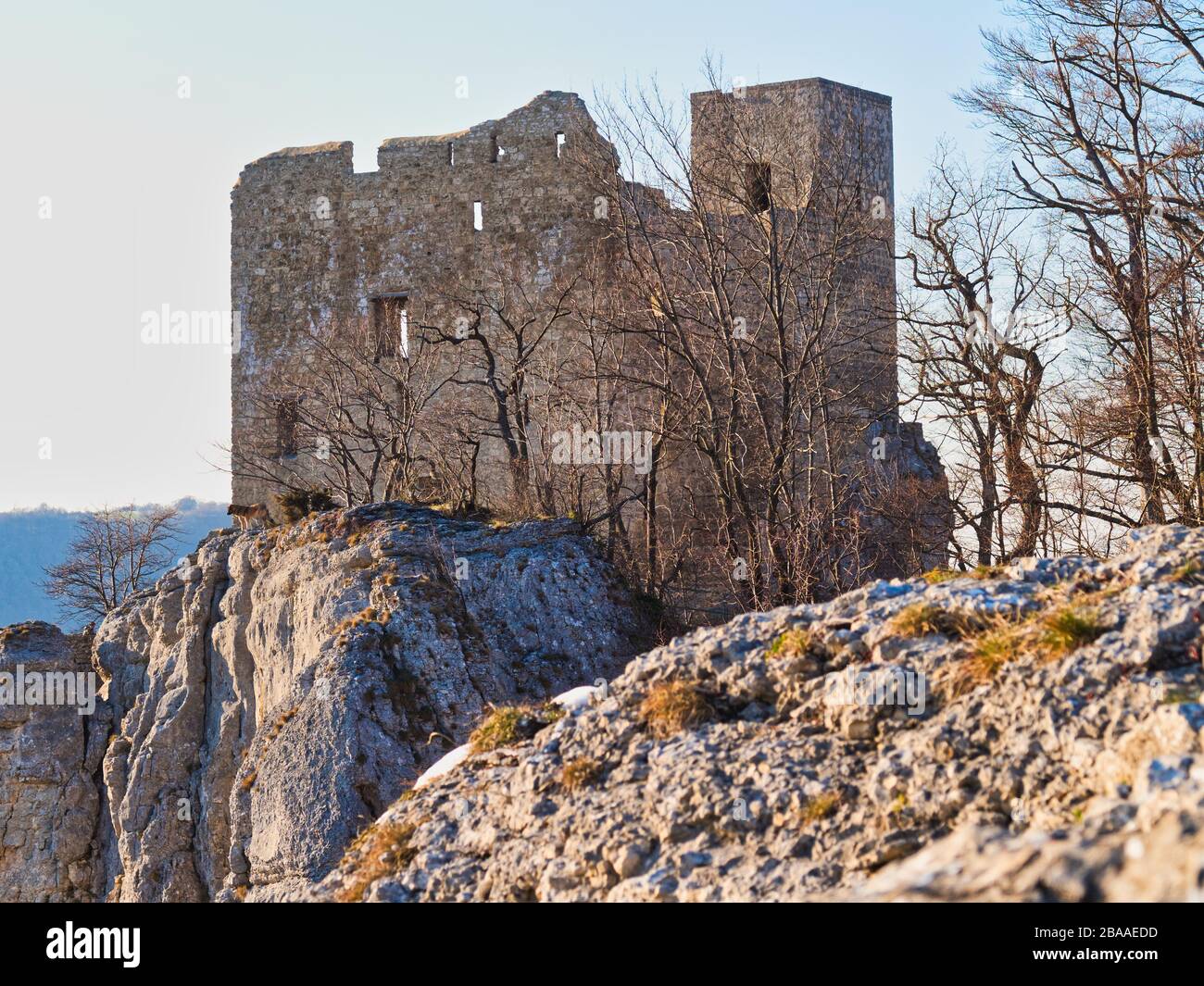 Old Castle ruins in Germany Stock Photo - Alamy