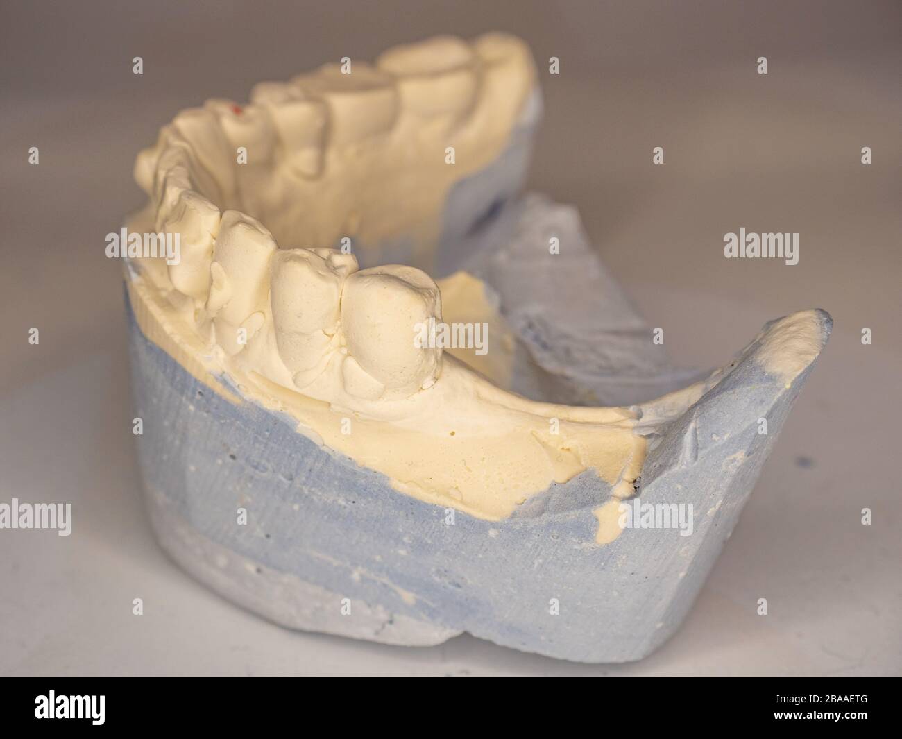 Model of plaster cast of lower teeth of human against dark background ...