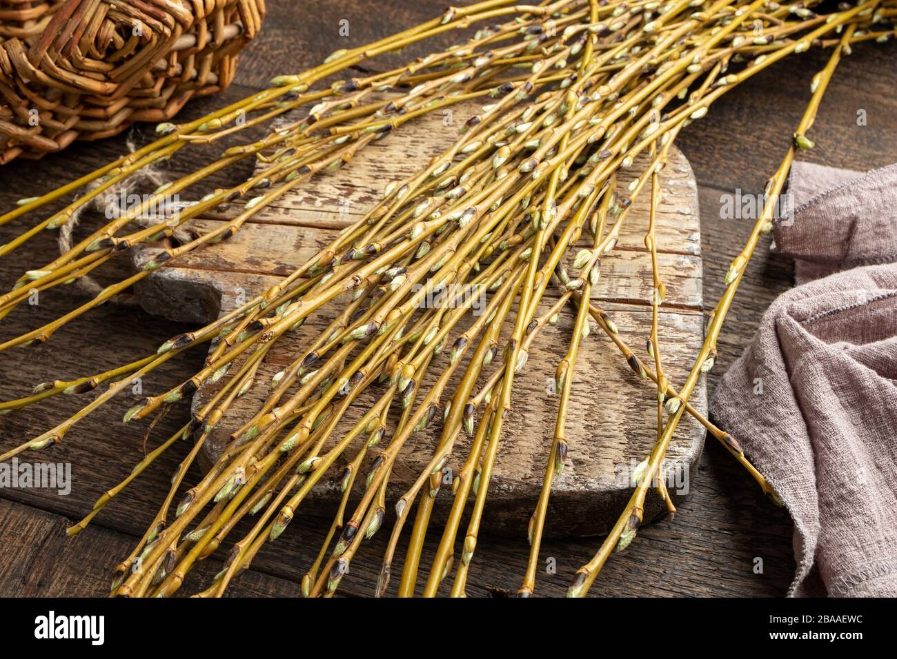 Willow branches collected in early spring - a natural alternative to ...