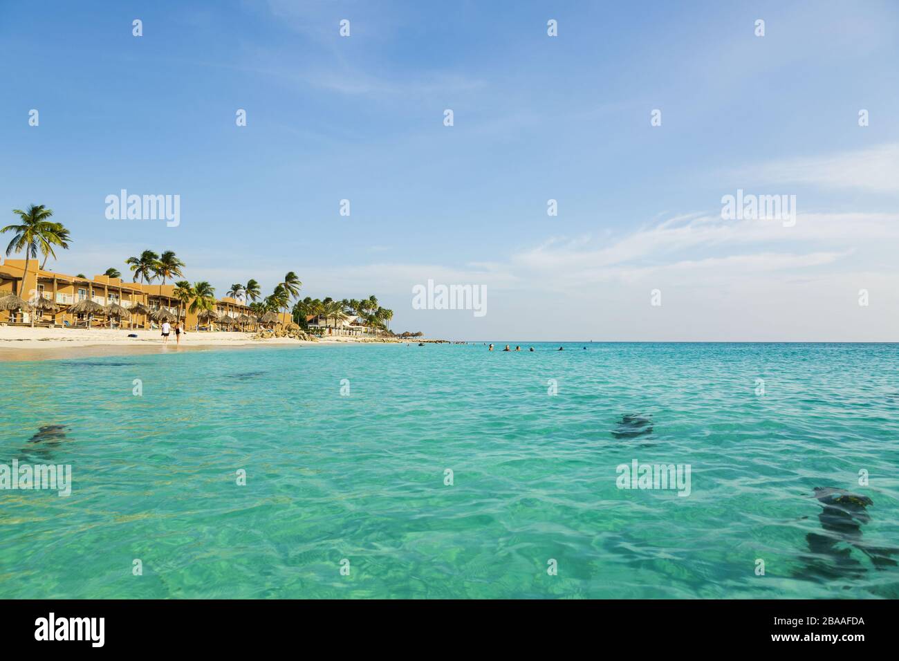 Amazing beauty Caribbean sea beach. Aruba island. Beautiful nature ...
