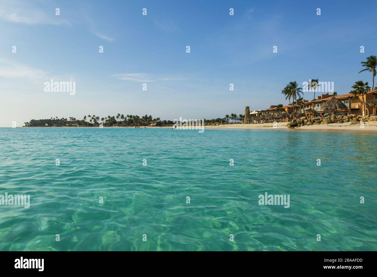 Amazing beauty Caribbean sea beach. Aruba island. Beautiful nature ...