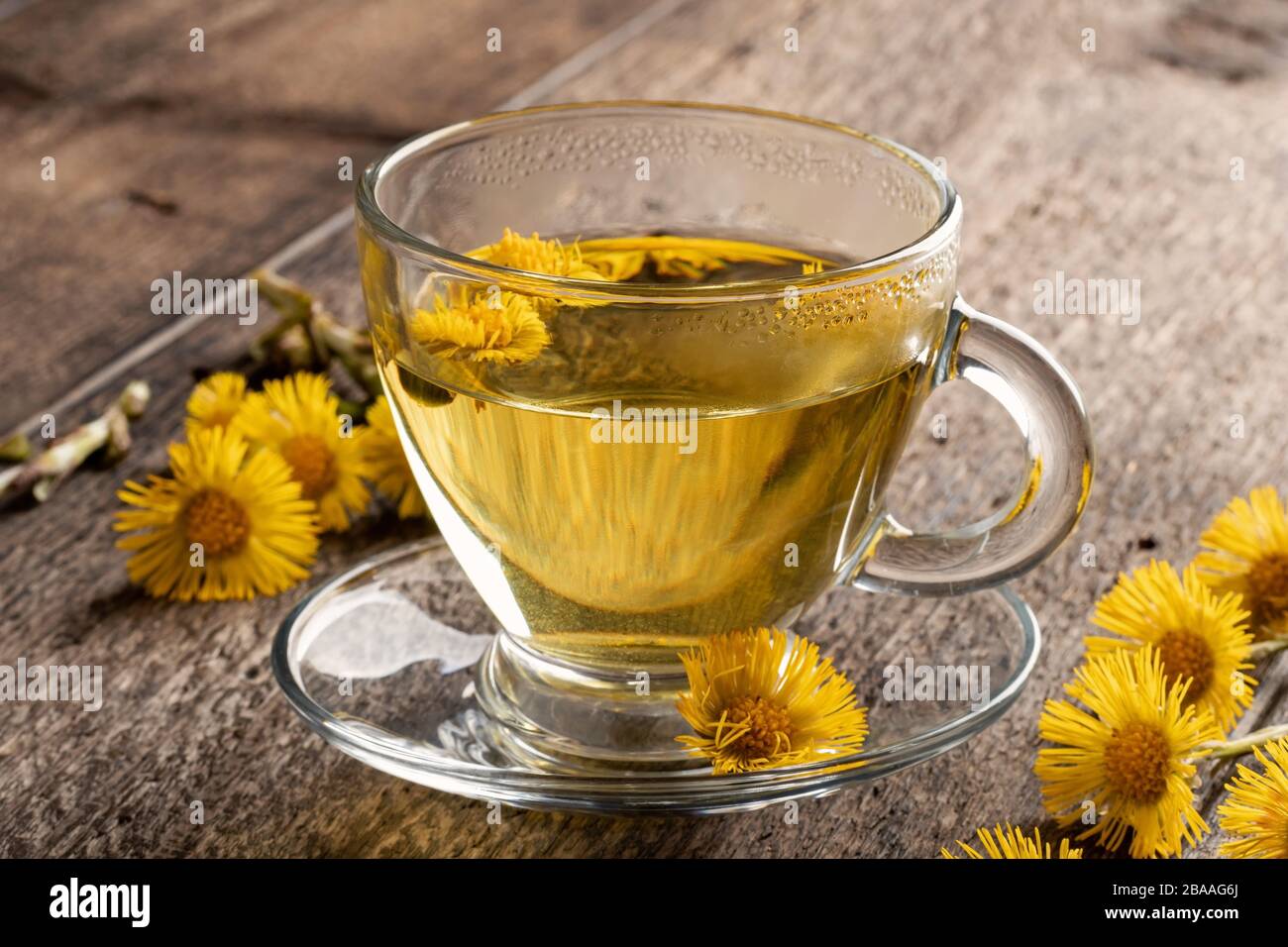 Coltsfoot edible hi-res stock photography and images - Alamy