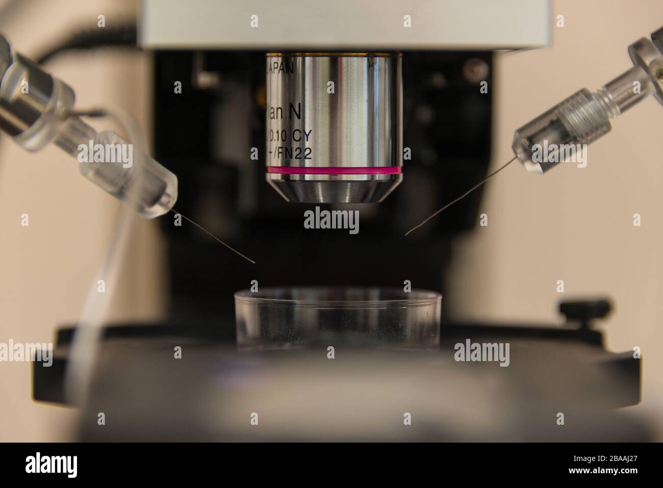 Electrophysiological setup with a microscope to record neurons in brain ...