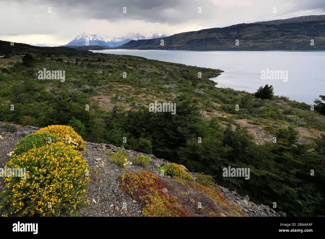 Lago Del Torro Torres De Paine High Resolution Stock Photography and ...