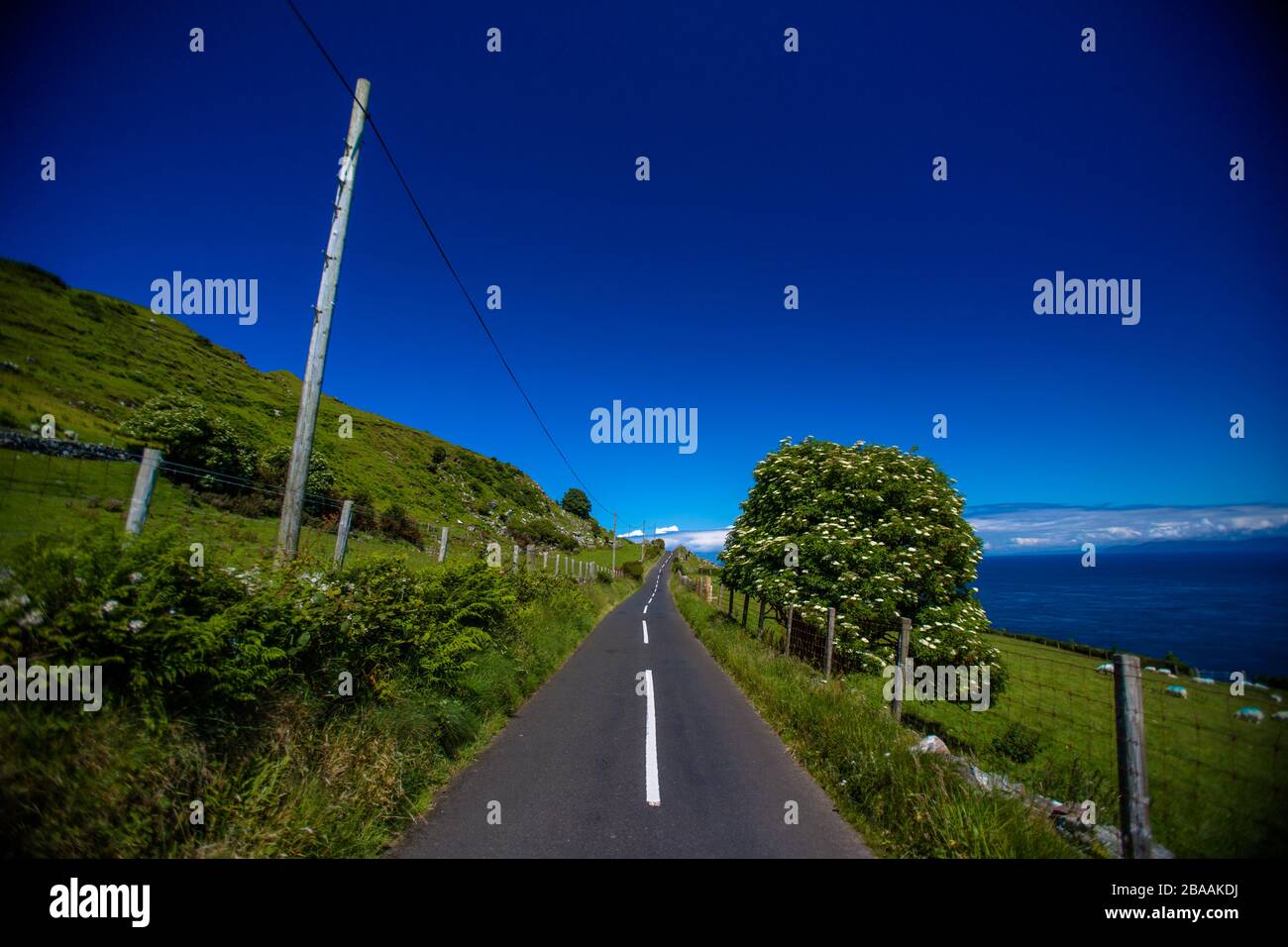 A visual representation of the future or just another pleasant coastal ...