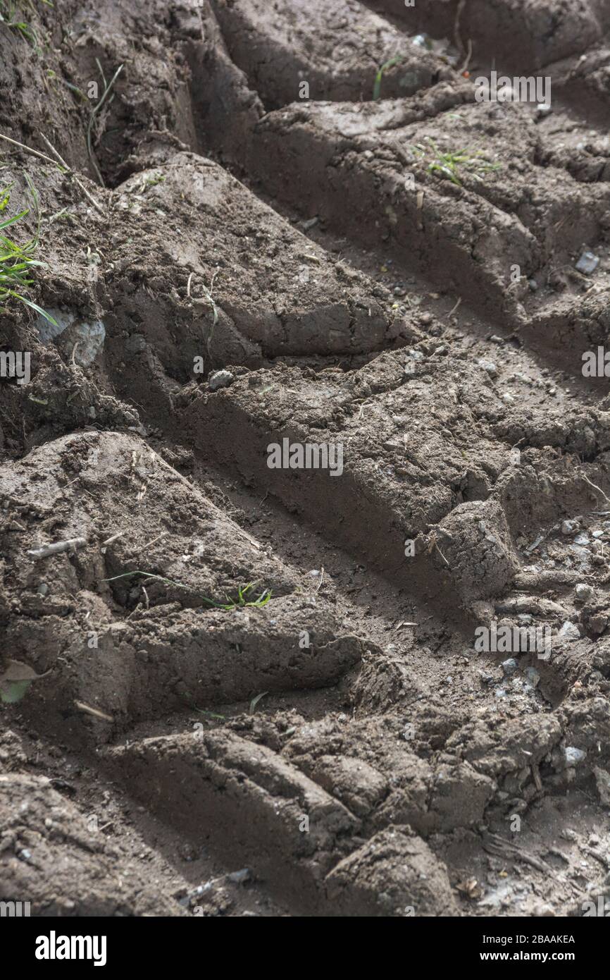 Mud field wet hi-res stock photography and images - Alamy