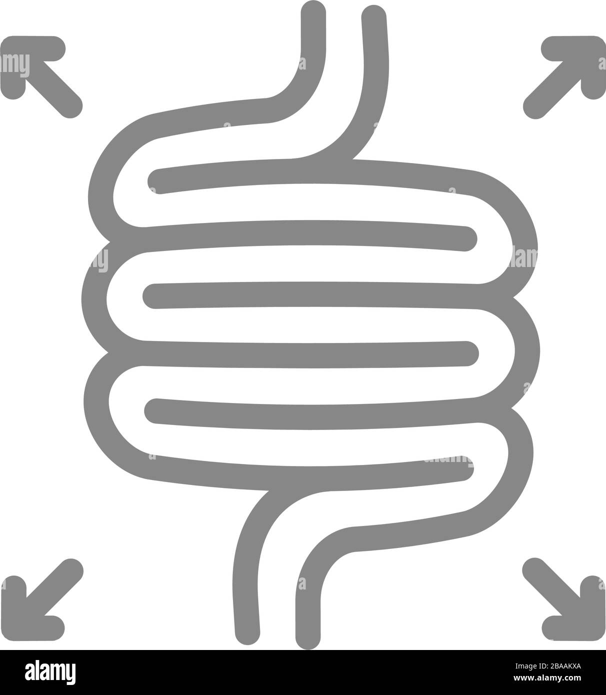 Bloated intestines line icon. Diseases internal organ, flatulence ...