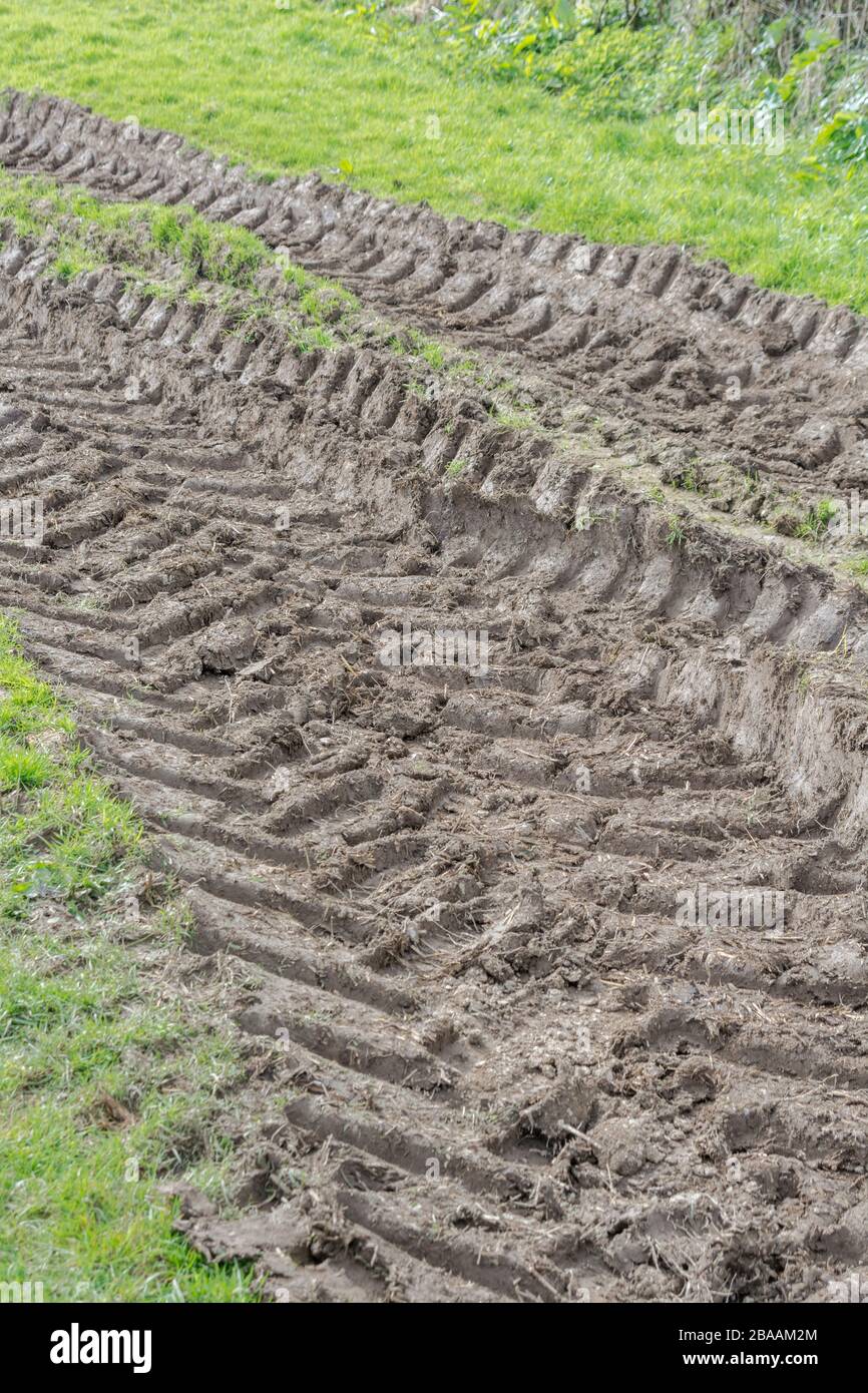 Deep ridges in mud made by tractor tyres / tires on grass. Tyre tracks ...