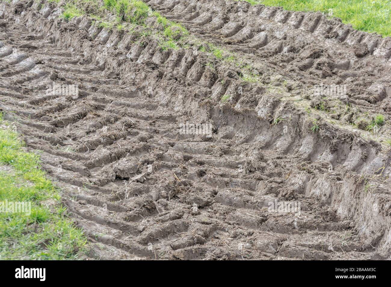 Deep ridges in mud made by tractor tyres / tires on grass. Tyre tracks ...