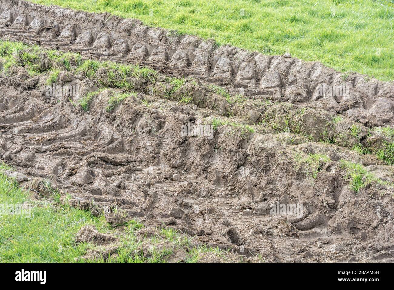 Deep ridges in mud made by tractor tyres / tires on grass. Tyre tracks, making tracks, stick in ...