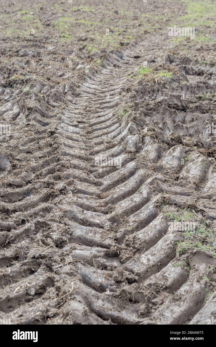 Mud field wet hi-res stock photography and images - Alamy