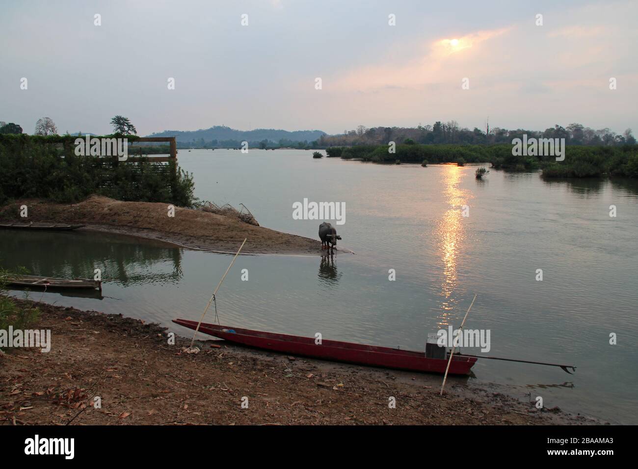 the river mekong at khong island in laos Stock Photo - Alamy