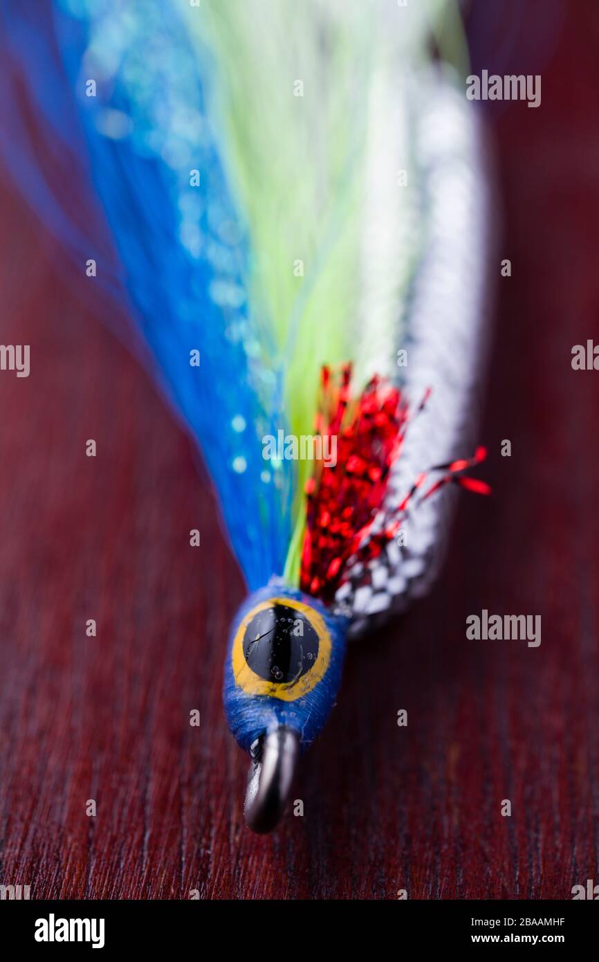 Bait hi-res stock photography and images - Alamy