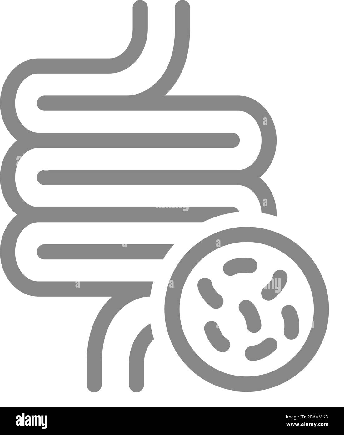 Intestine with bacteria line icon. Irritable bowel syndrome ...
