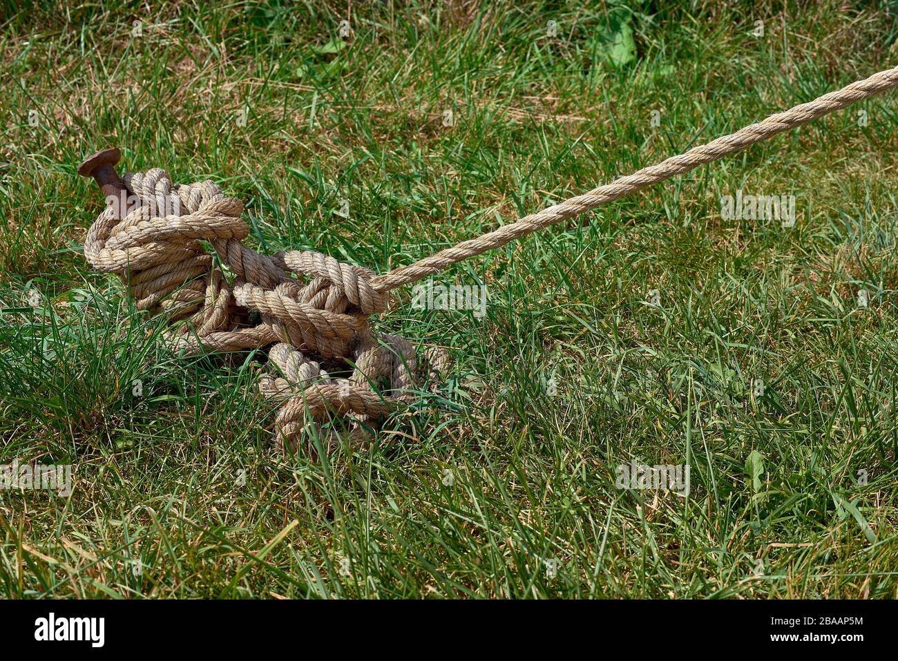 Close-up rope knot tied to ground Stock Photo - Alamy