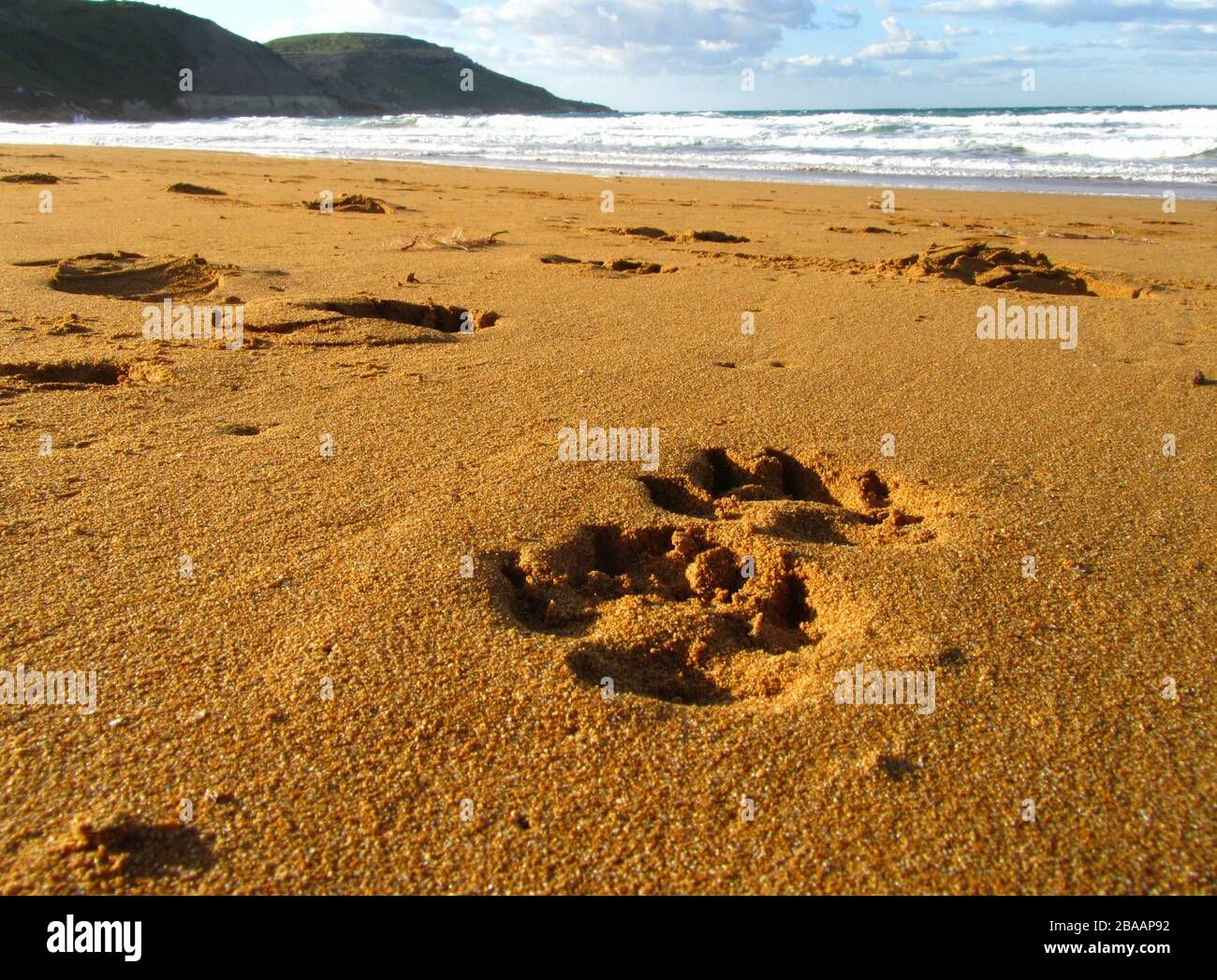 Ramla l-Hamra Bay during daytime in Gozo, Maltese Islands, Malta Stock ...