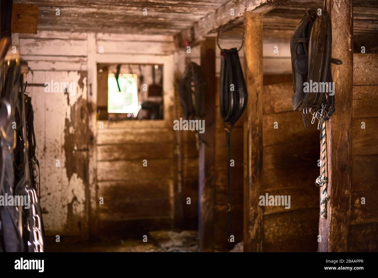 Old Horse Stable High Resolution Stock Photography and Images - Alamy