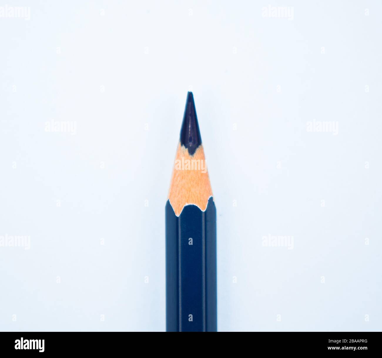 Close up picture of a nicely sharpened blue colored wood pencil crayon ...