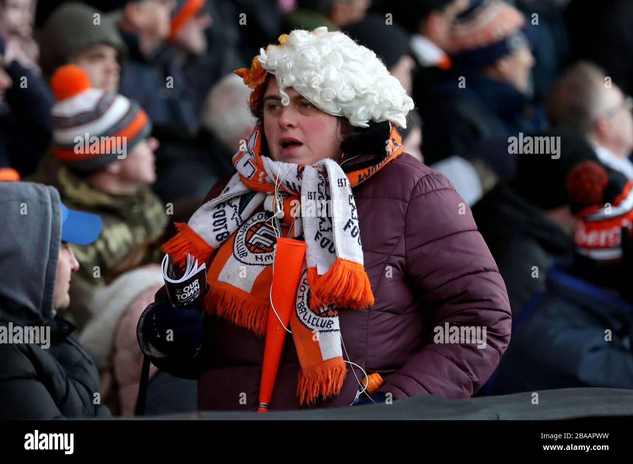 A Luton Town fan during the match Stock Photo - Alamy