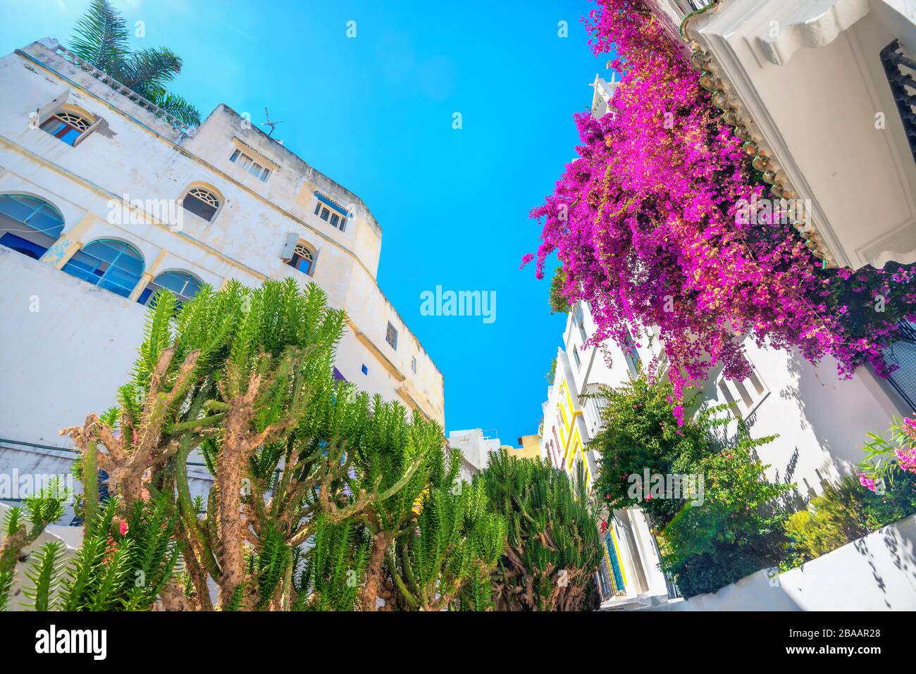 Scenic street with colorful tropical plants and floral facade of houses ...