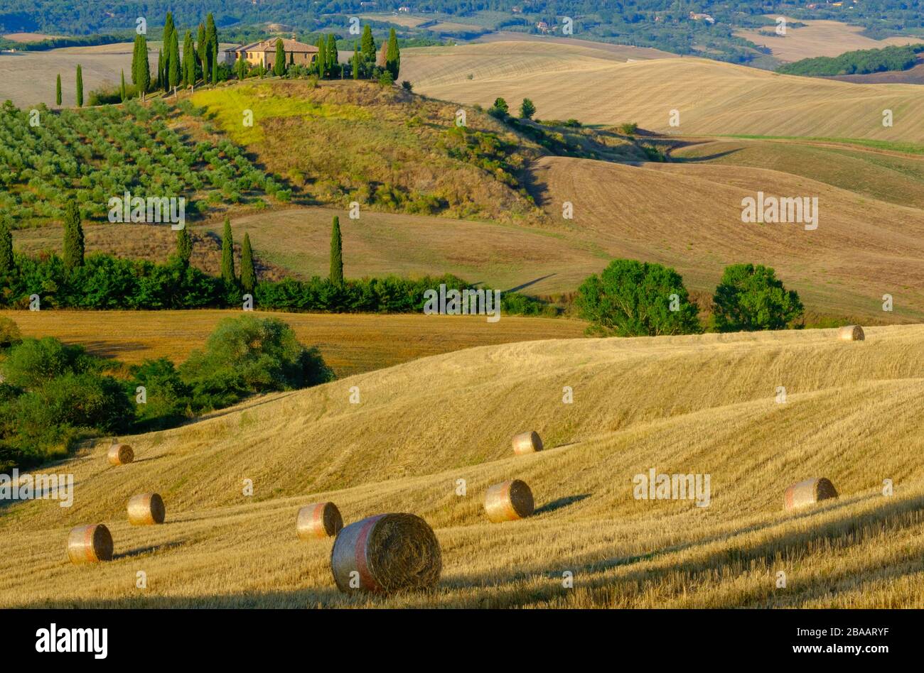 Late summer aerial landscape of valley in Tuscany, Italy Stock Photo ...