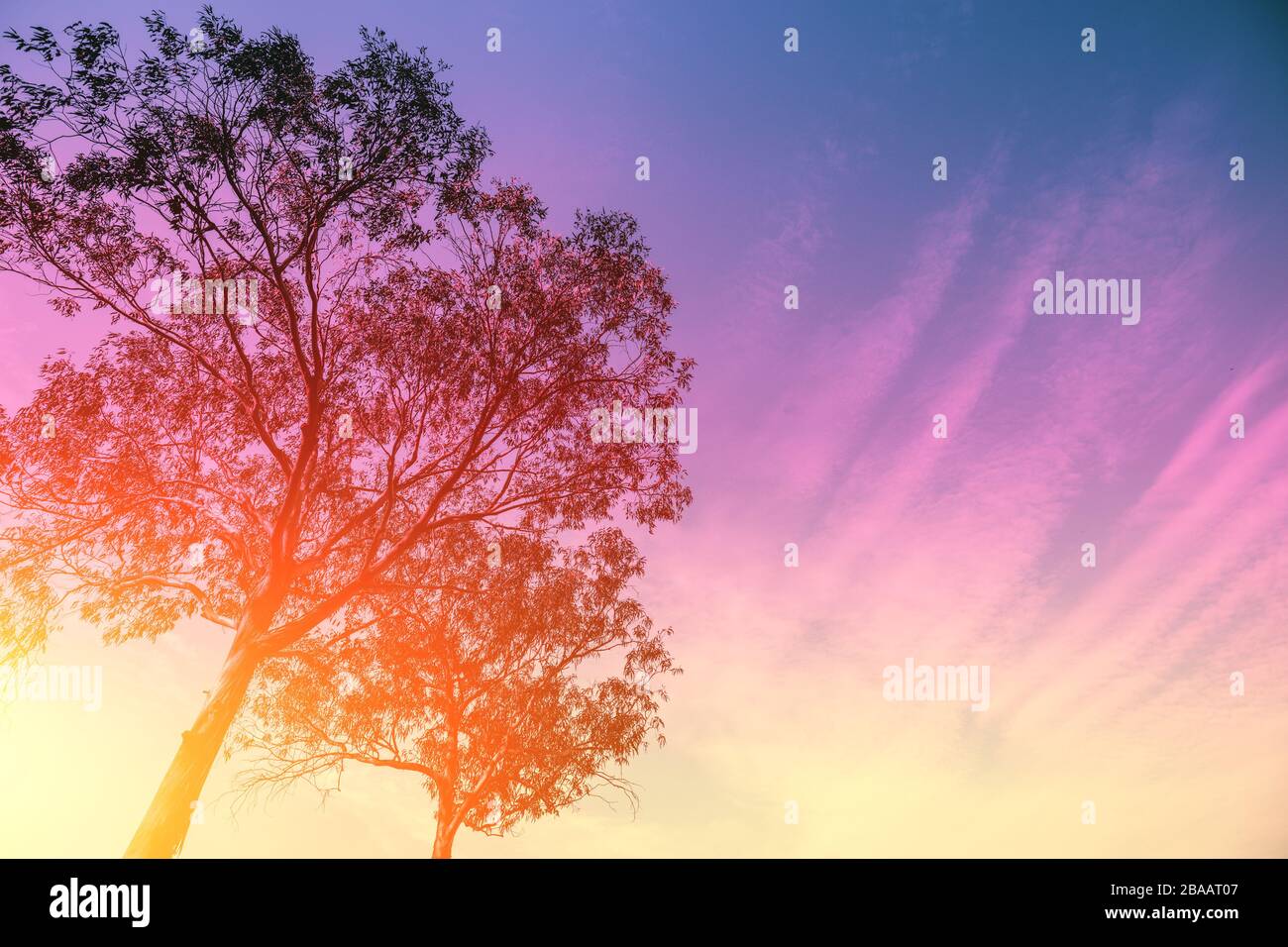 Gradient sky background hi-res stock photography and images - Alamy