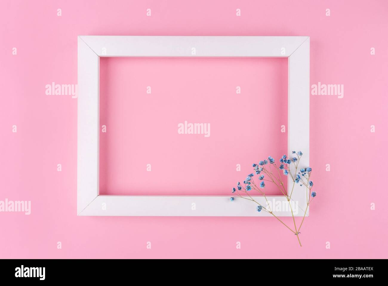 White text frame on a pink background Stock Photo - Alamy