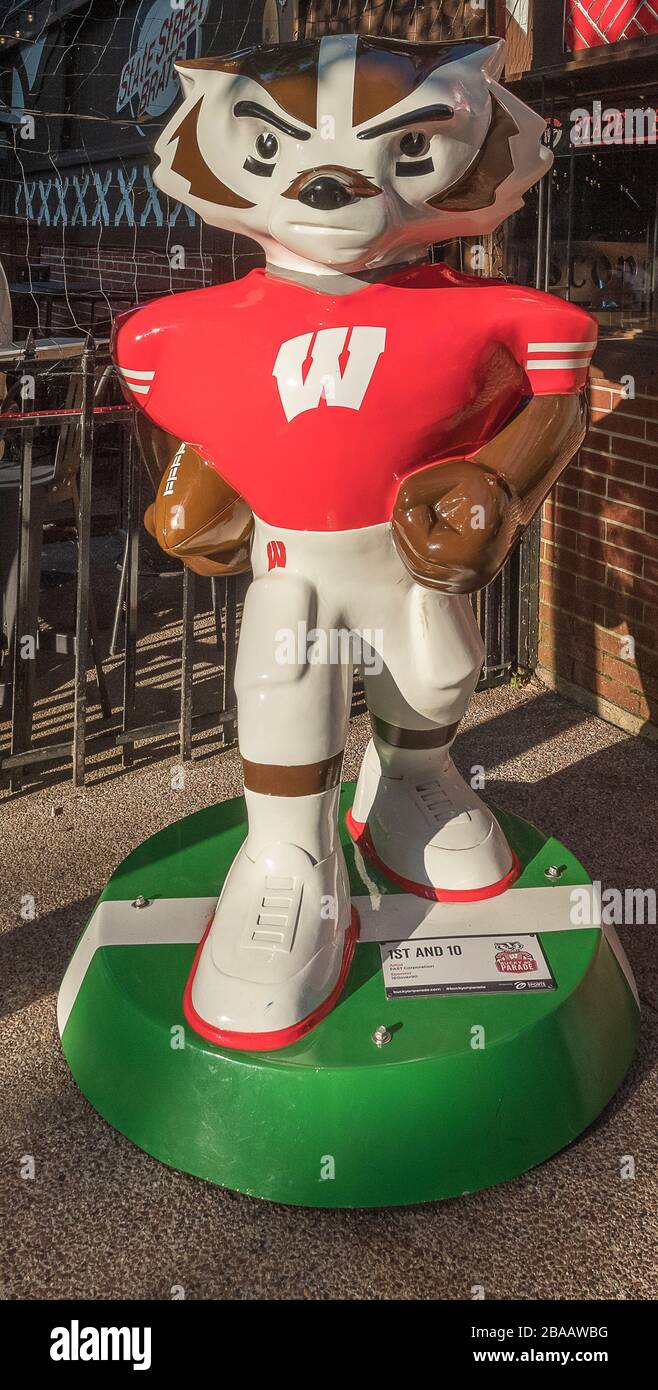 Bucky Badger statue, Bucky on Parade, Madison, Dane County, Wisconsin ...
