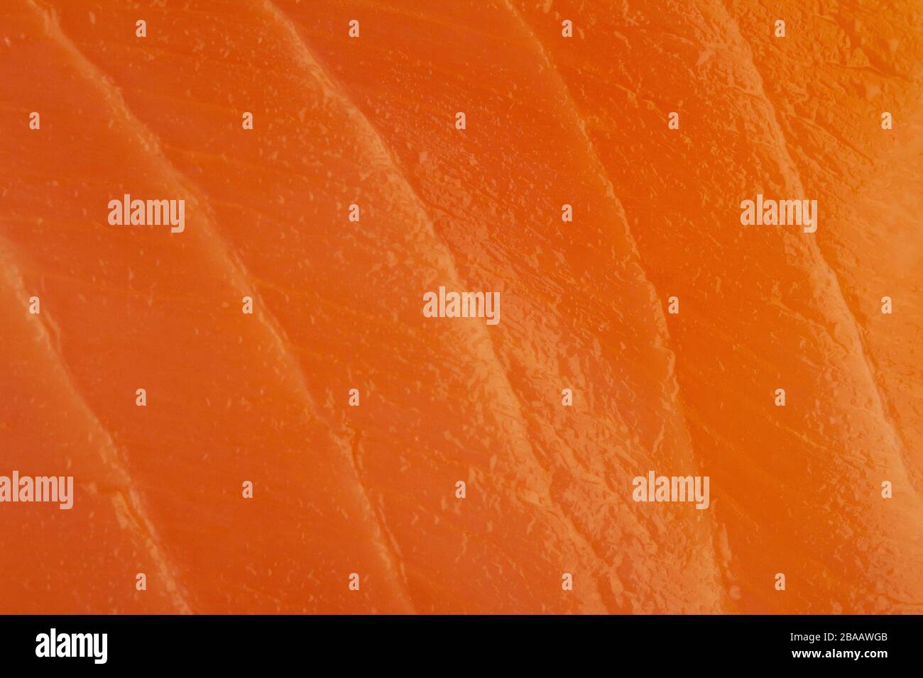 front view macro closeup up texture of red salmon meat slice background ...