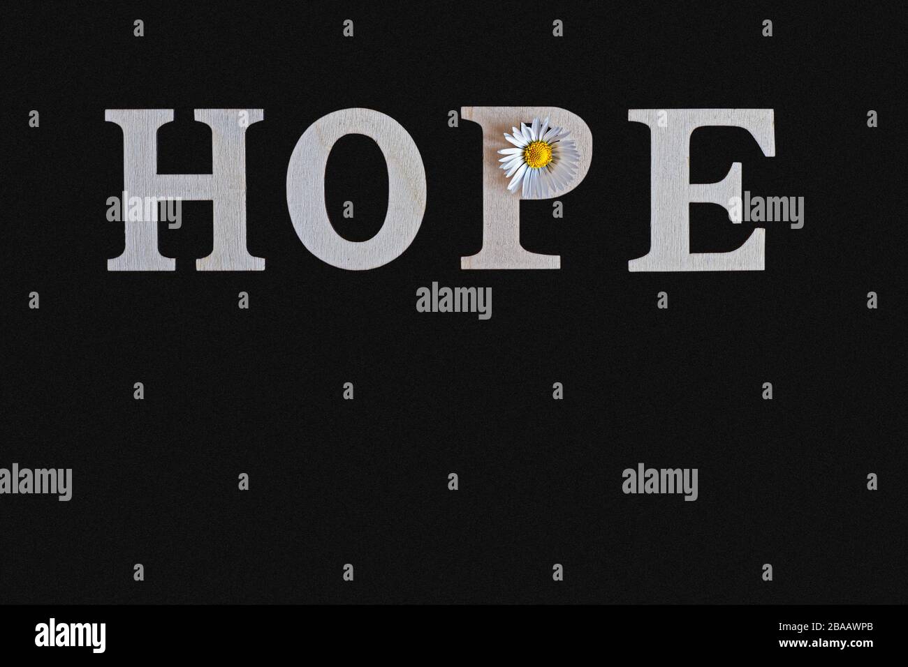 Hope written in wooden letters with a blossom of a small white daisy ...