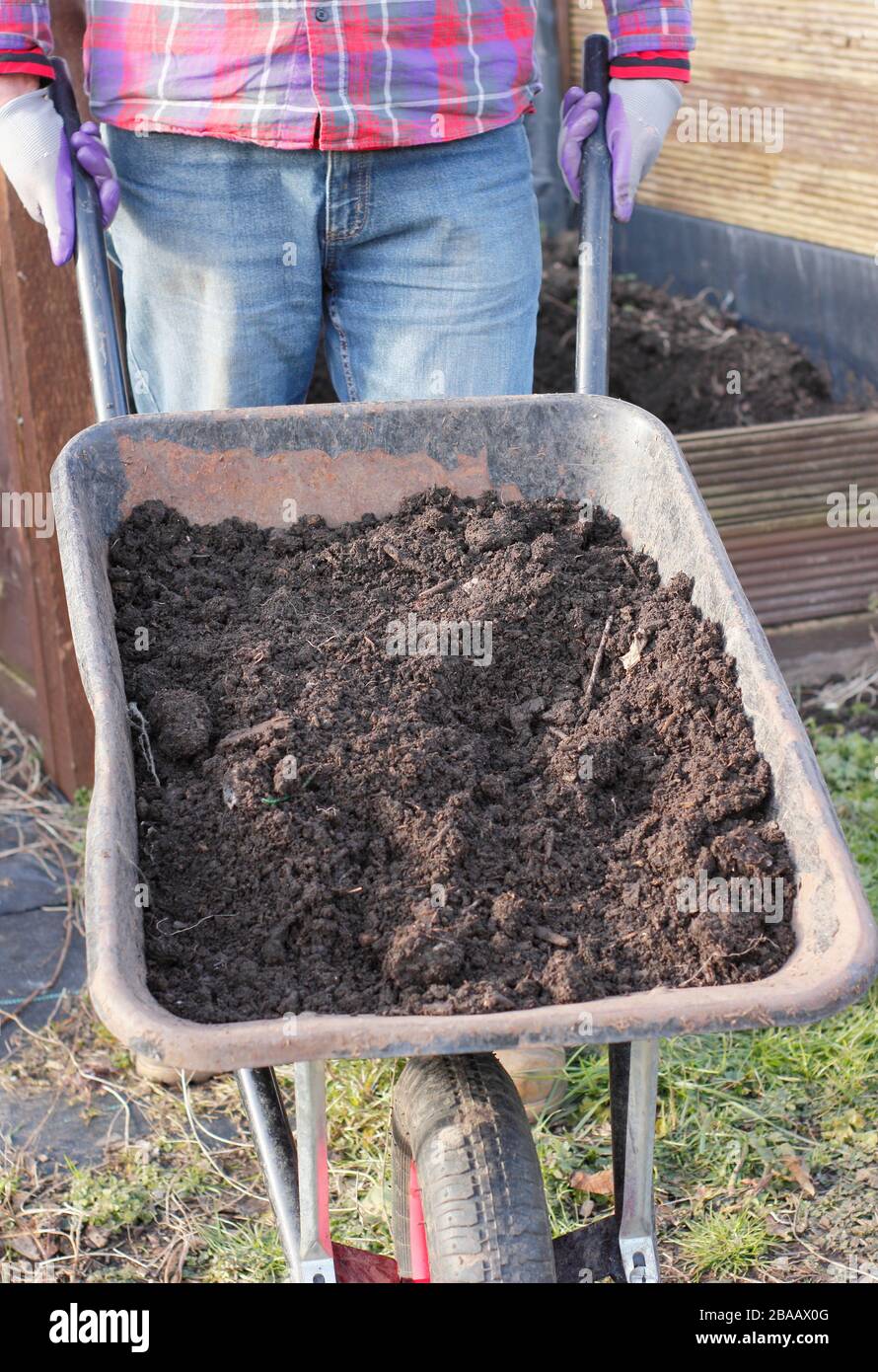 Wheelbarrow vegetable garden gardening hi-res stock photography and ...