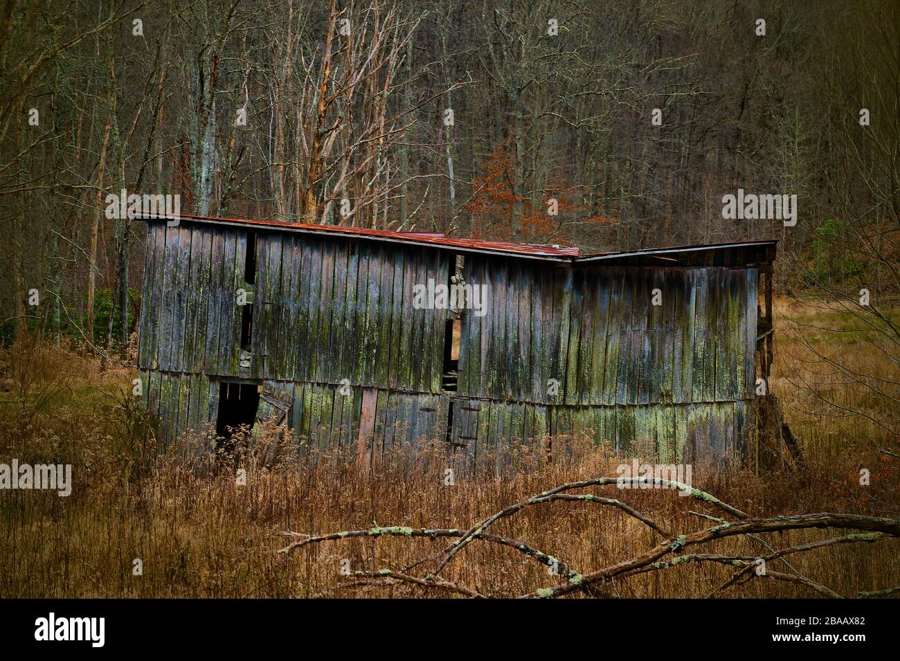 Abandonded decaying structure left to nature in a rural country side ...