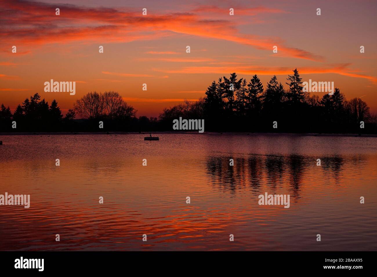 Tuesley Farm, Godalming. 26th March 2020. A beautiful end to the day ...