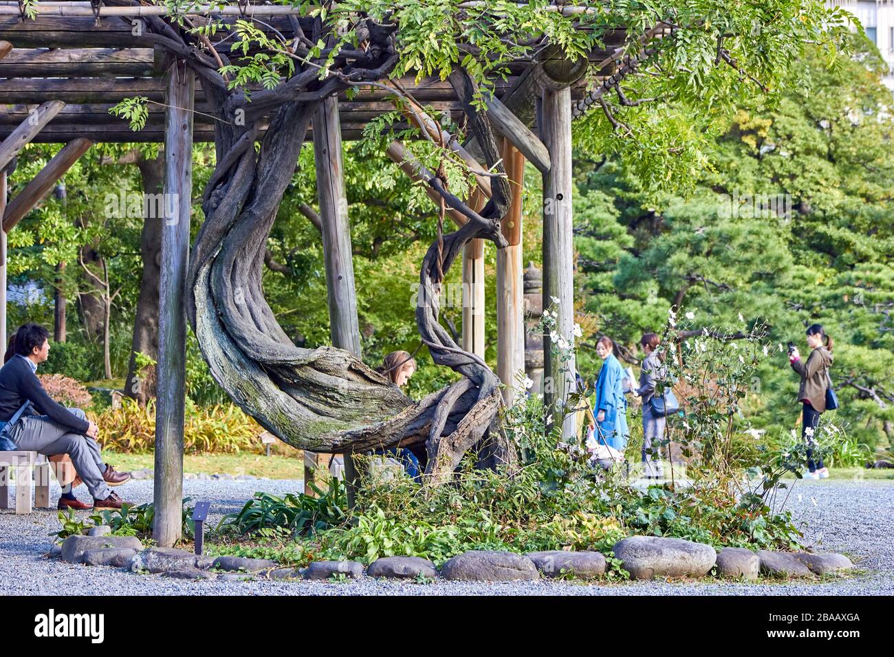 Garden scenery background hi-res stock photography and images - Alamy