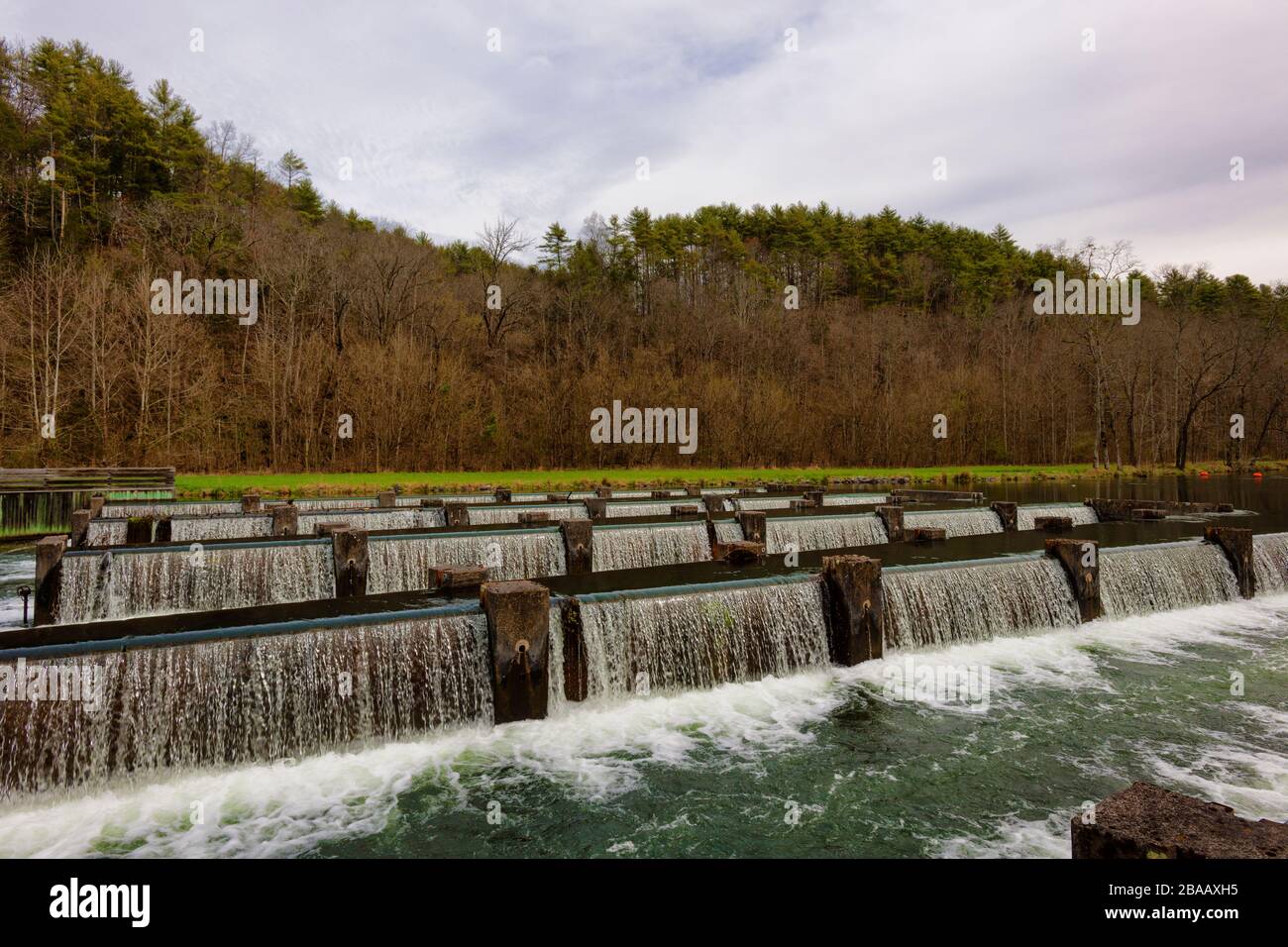 Weir dams were built below the South Holston Dam to add oxygen to the ...