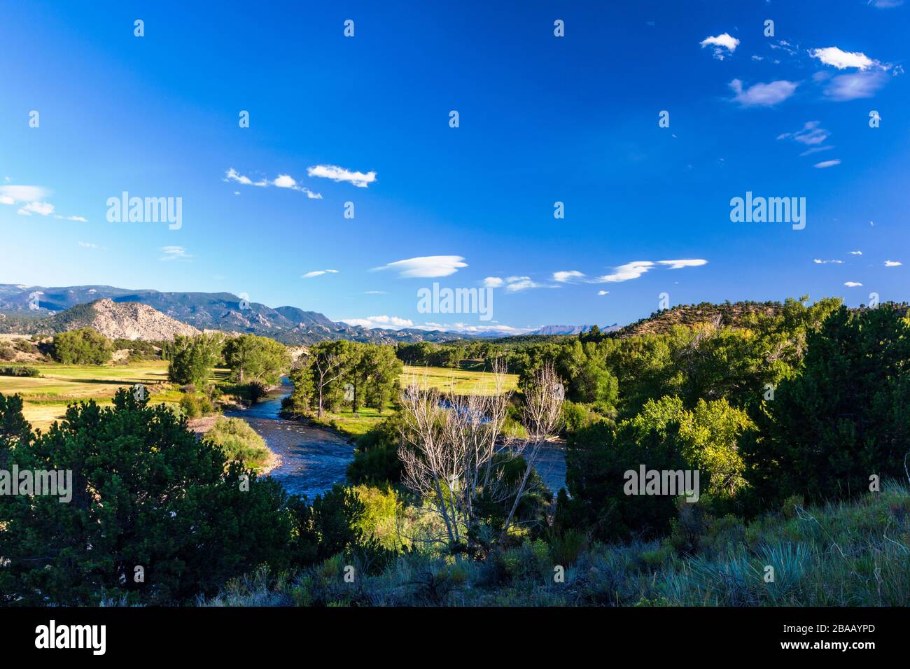 Summertime view hi-res stock photography and images - Alamy