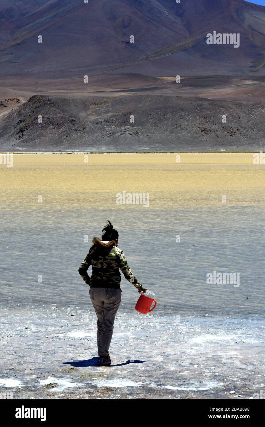 Beautiful lagoon located at the foot of the majestic Socompa volcano ...