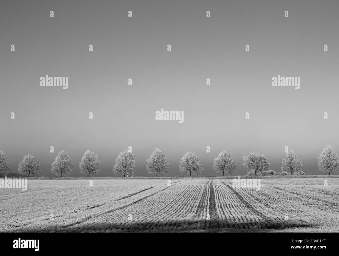Country landscape with trees and field Stock Photo - Alamy