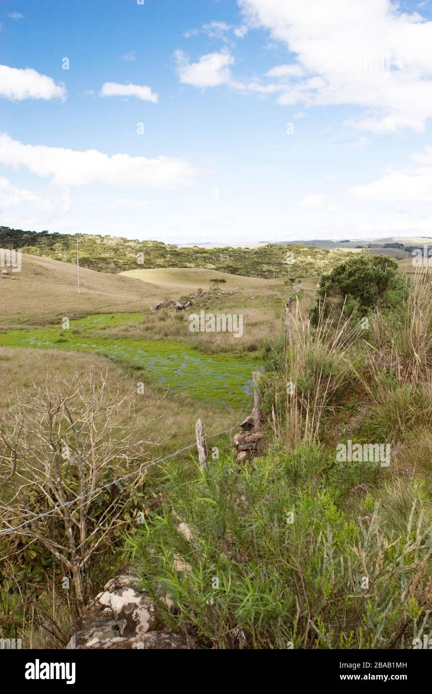 Hills river fields brazil hi-res stock photography and images - Alamy