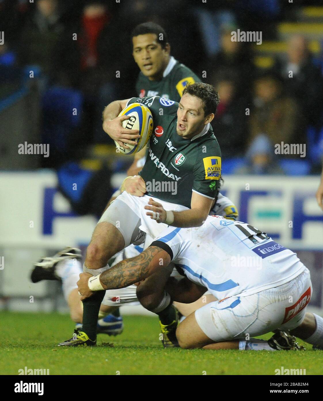 Hoani tui hi-res stock photography and images - Alamy