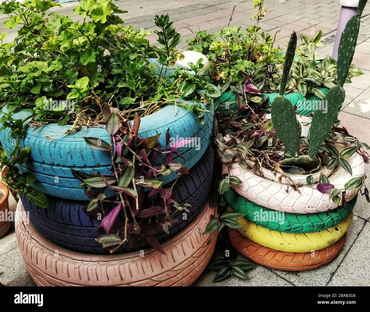 Tire plant pot hi-res stock photography and images - Alamy
