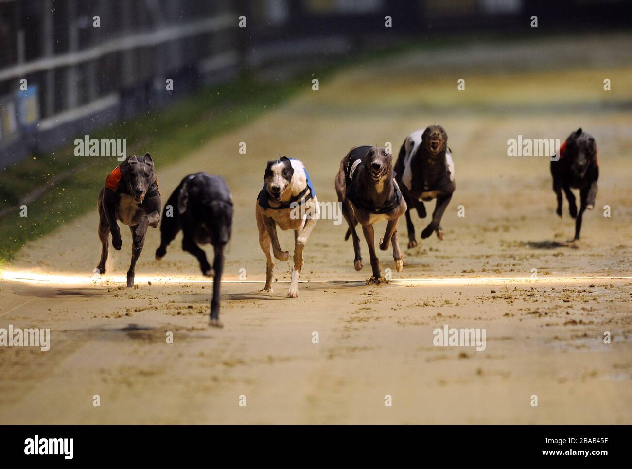 General action ampics hi-res stock photography and images - Alamy