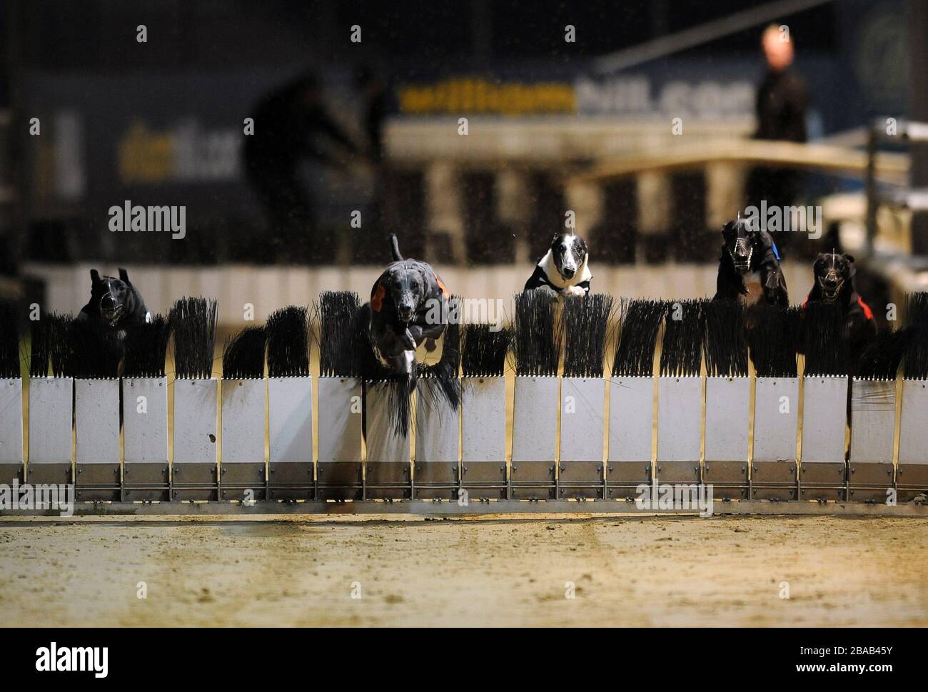 General view of the race action at Wimbledon Greyhound Stadium Stock ...